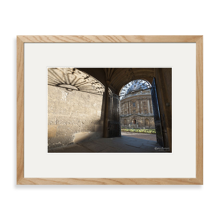 Oxford Pictures • Radcliffe Camera from the Old Bodleian