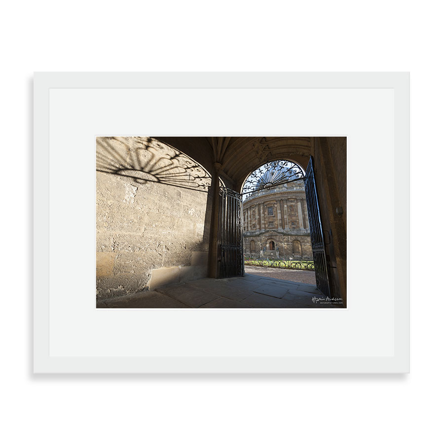 Oxford Pictures • Radcliffe Camera from the Old Bodleian
