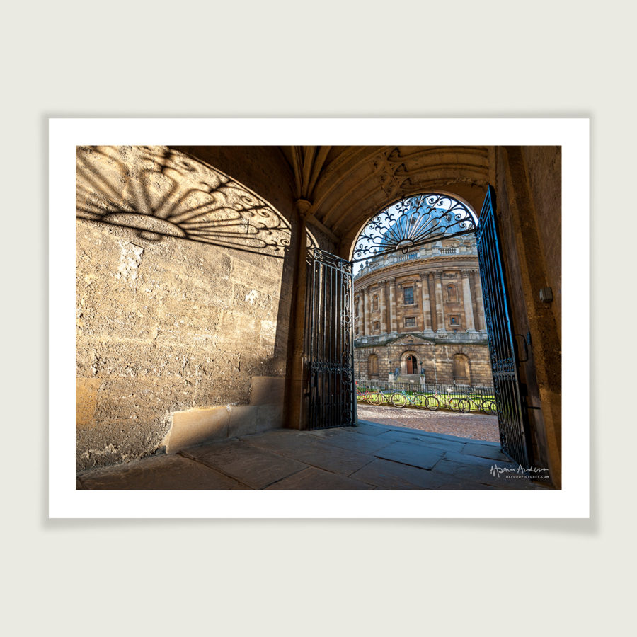 Radcliffe Camera from the Old Bodleian, Oxford